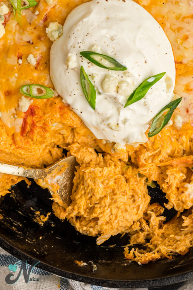 Buffalo Chicken Wing Dip - Adventures of a Nurse