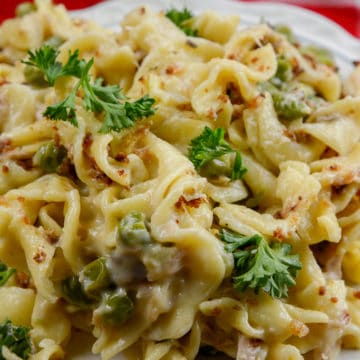 Instant Pot Cheesy Tuna Helper Casserole
