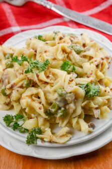 Instant Pot Cheesy Tuna Helper Casserole