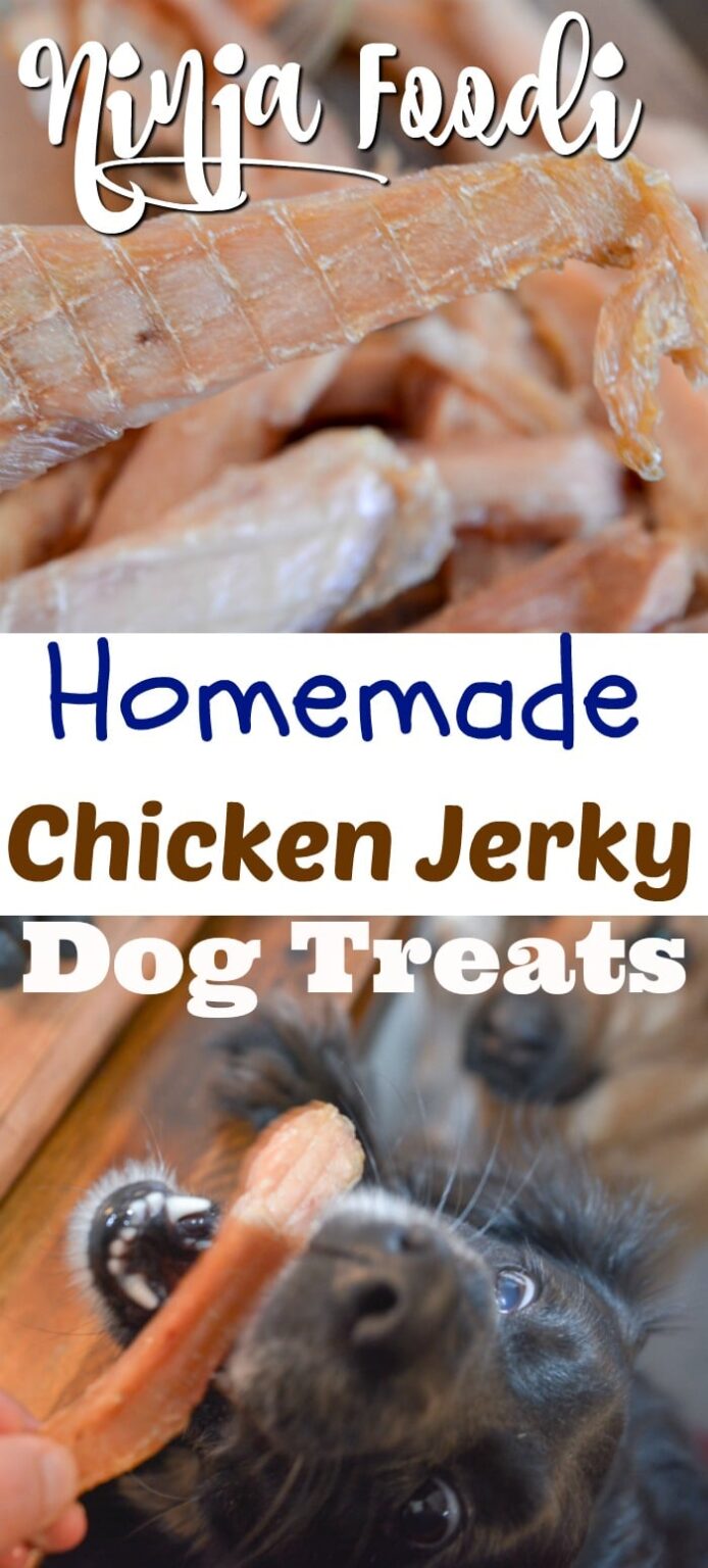 Ninja Foodi Chicken Jerky Treats for Dogs - Adventures of a Nurse