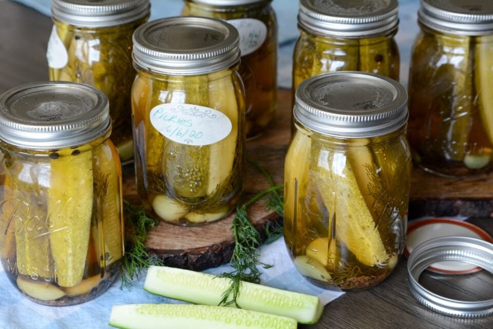 Garlic Dill Pickles Recipe and Canning - Adventures of a Nurse