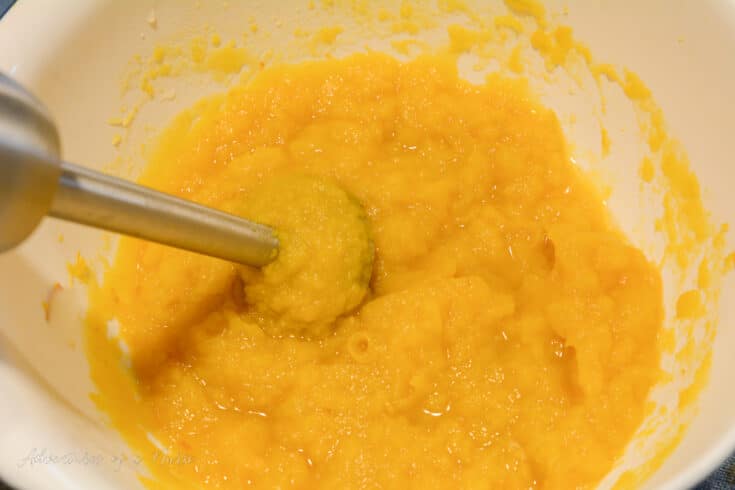 Instant Pot Pumpkin Puree - Adventures of a Nurse
