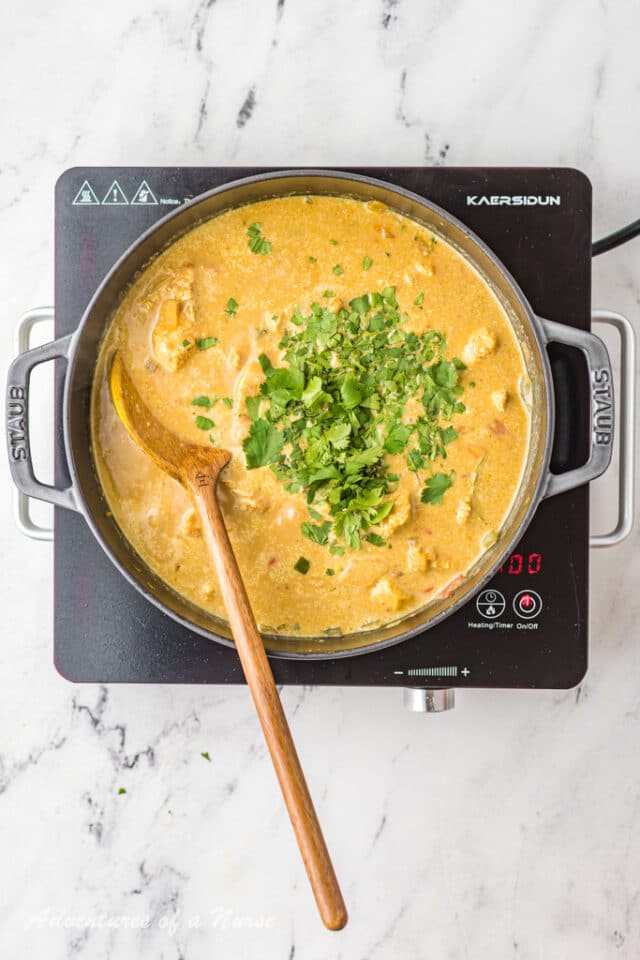 Easy Homemade Chicken Curry Recipe - Adventures of a Nurse