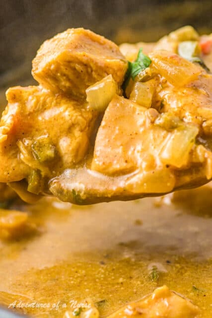 Easy Homemade Chicken Curry Recipe - Adventures of a Nurse