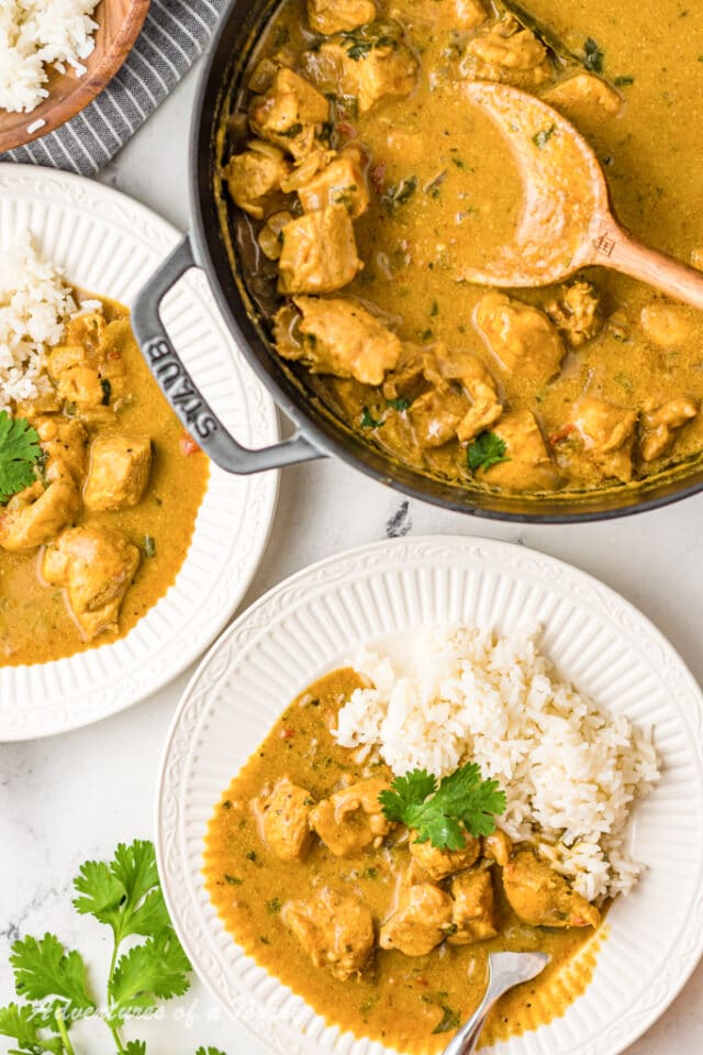 Easy Homemade Chicken Curry Recipe - Adventures of a Nurse