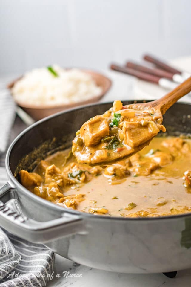 Easy Homemade Chicken Curry Recipe - Adventures of a Nurse