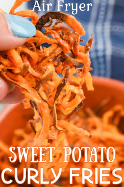 Easy Air Fryer Sweet Potato Curly Fries - Adventures of a Nurse