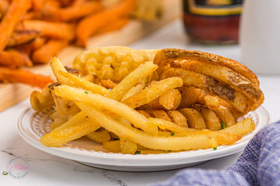 Loaded Fries - Adventures of a Nurse