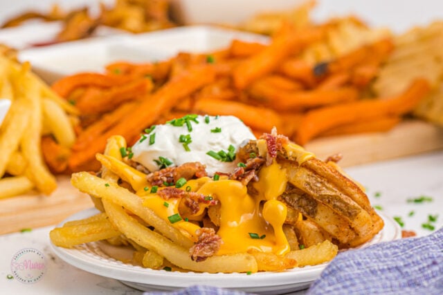 Loaded Fries - Adventures of a Nurse