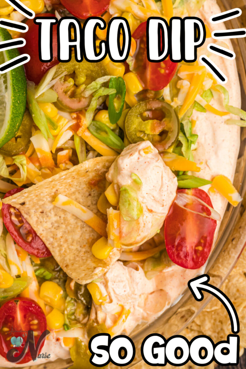 Taco Dip - Adventures of a Nurse