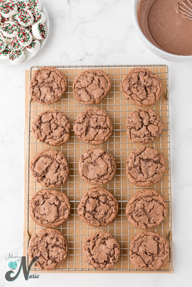 Hot Cocoa Cookies - Adventures of a Nurse