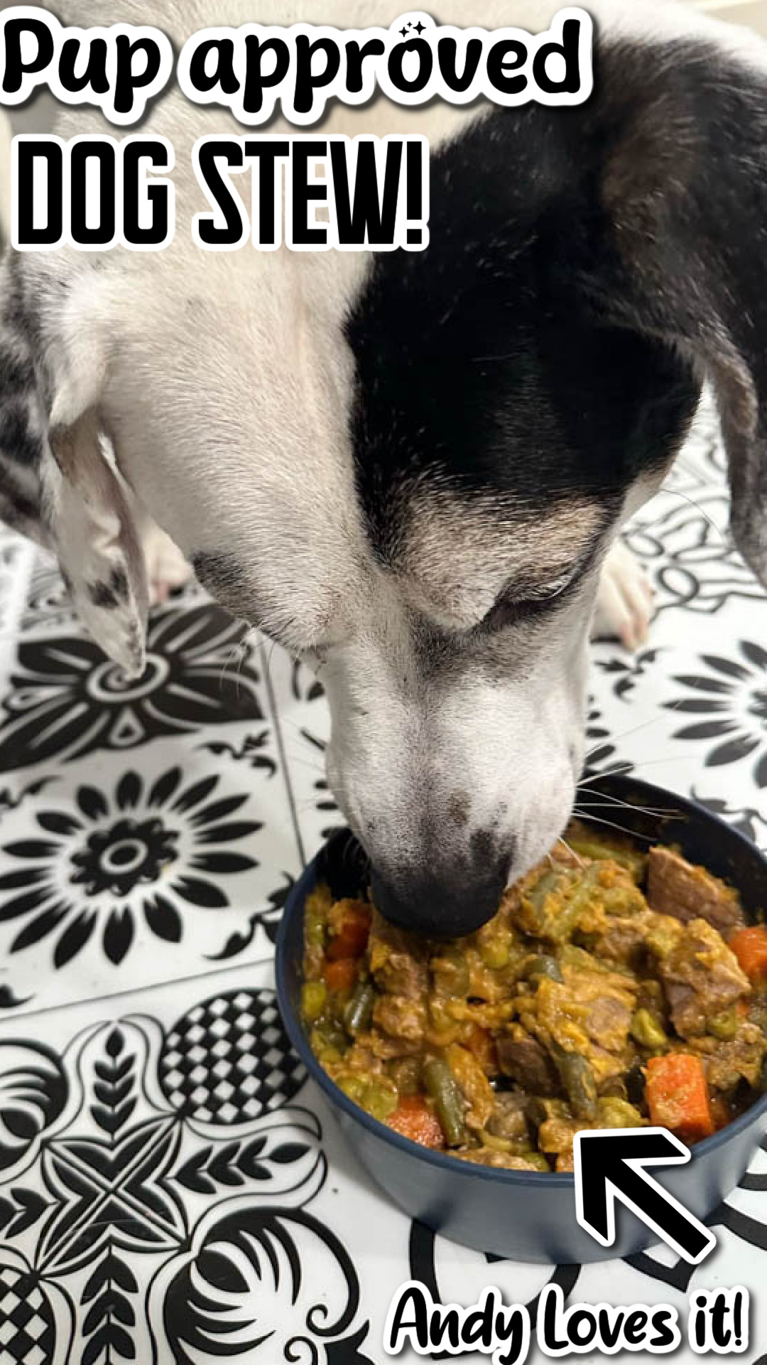 Crockpot Dog Food - Adventures of a Nurse