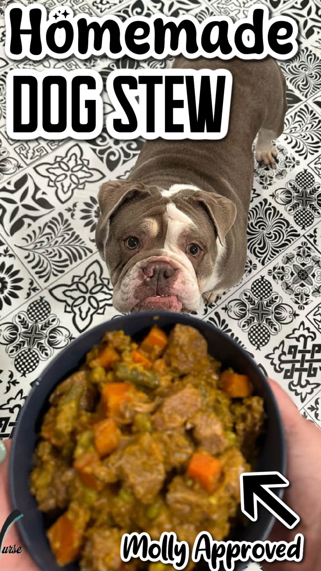 Crockpot Dog Food - Adventures of a Nurse