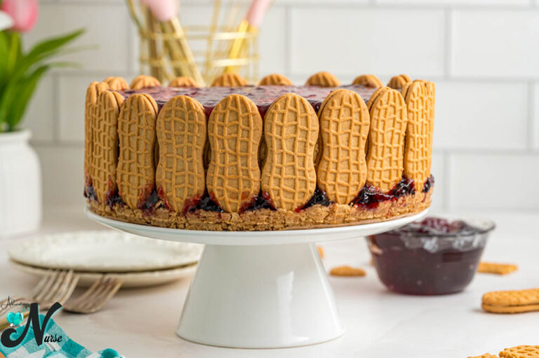 Peanut Butter and Jelly Cheesecake - Adventures of a Nurse