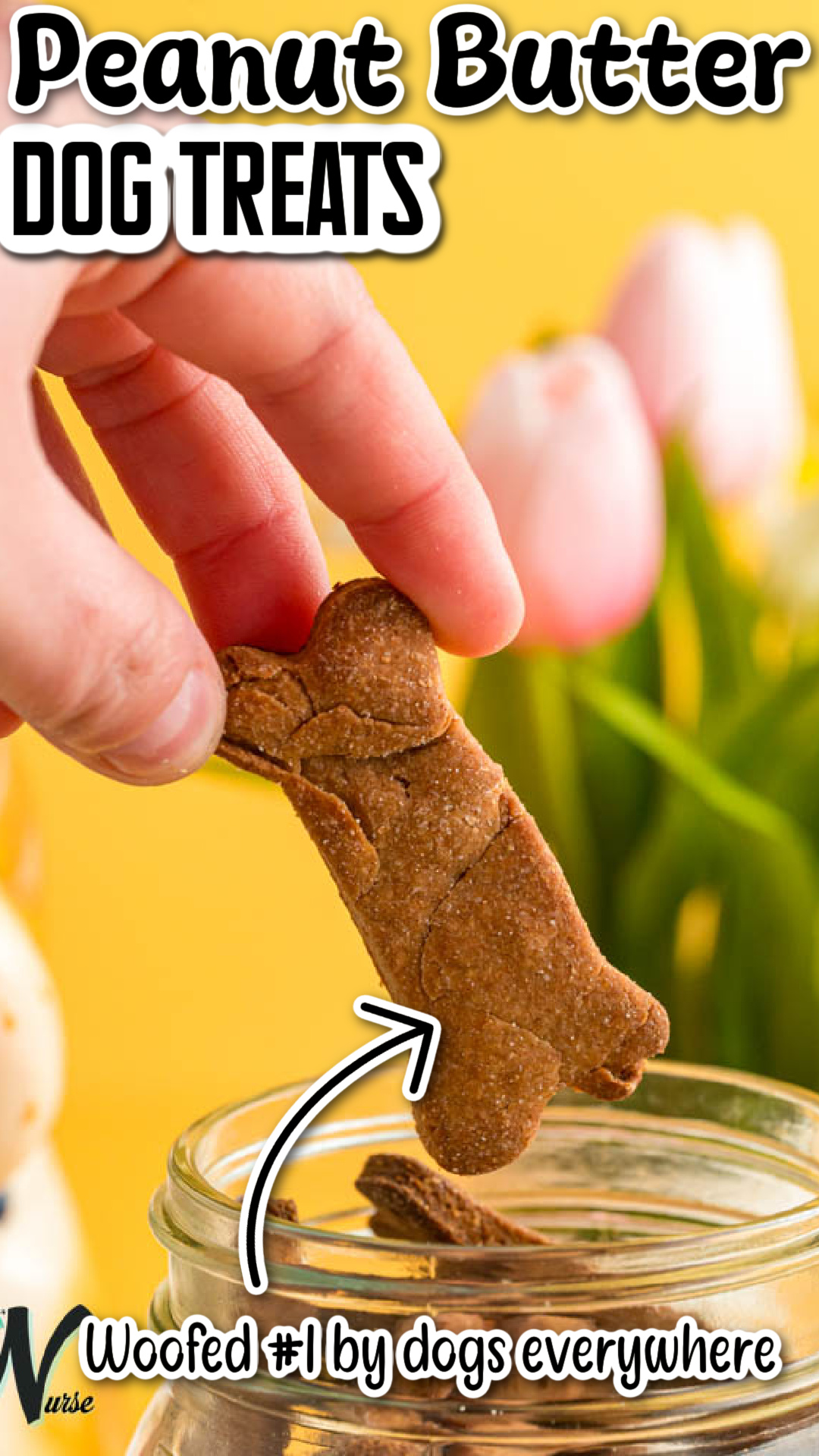 Peanut Butter Dog Treats - Adventures of a Nurse