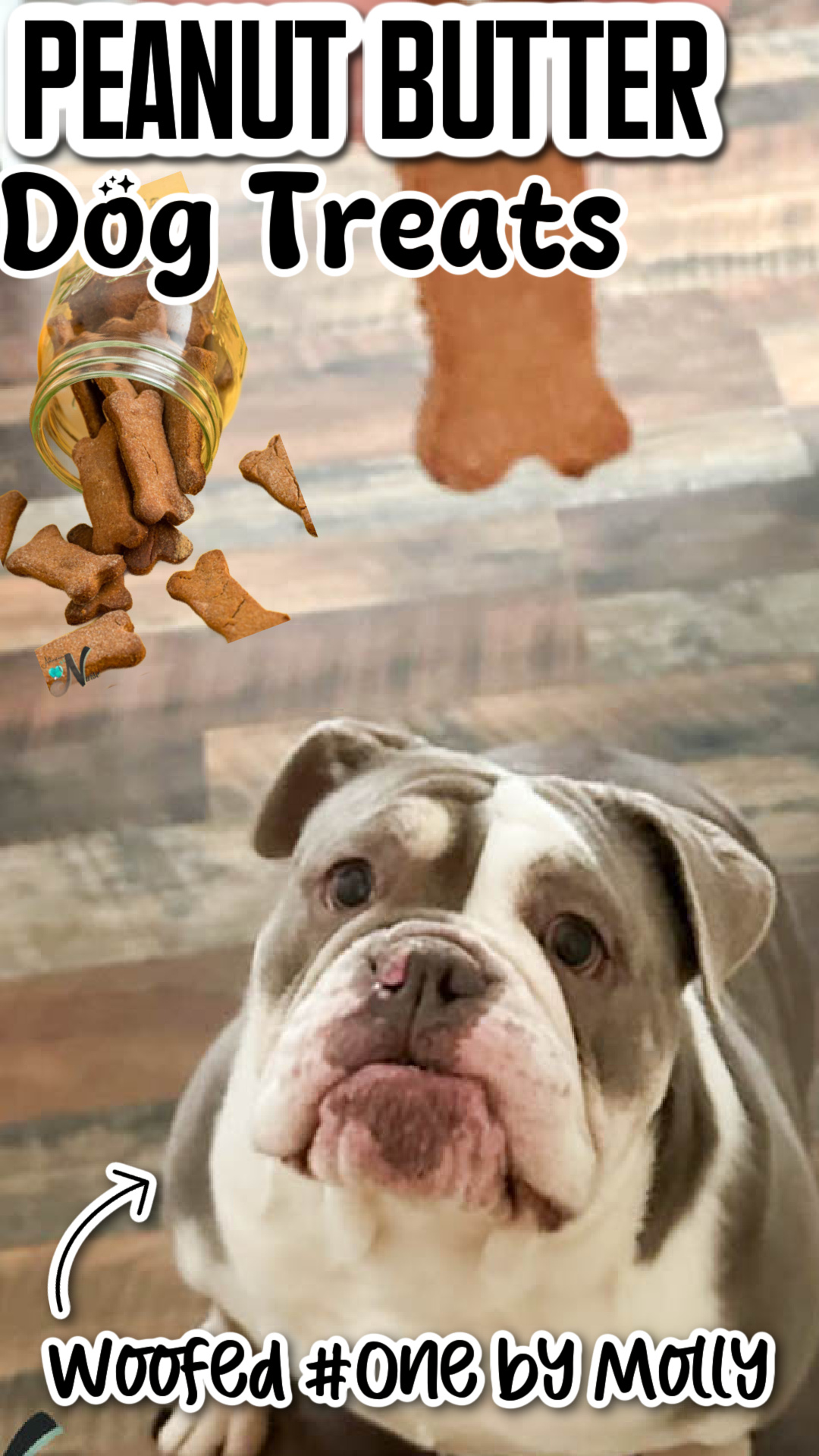 Peanut Butter Dog Treats - Adventures of a Nurse